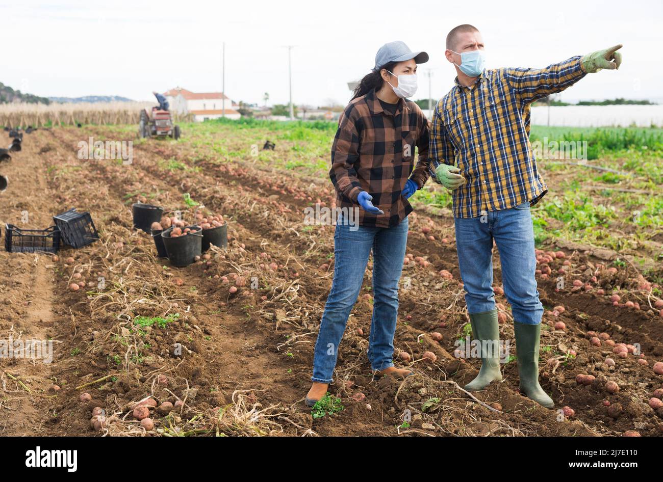 Owner of the farm field tells hired worker where to work Stock Photo ...