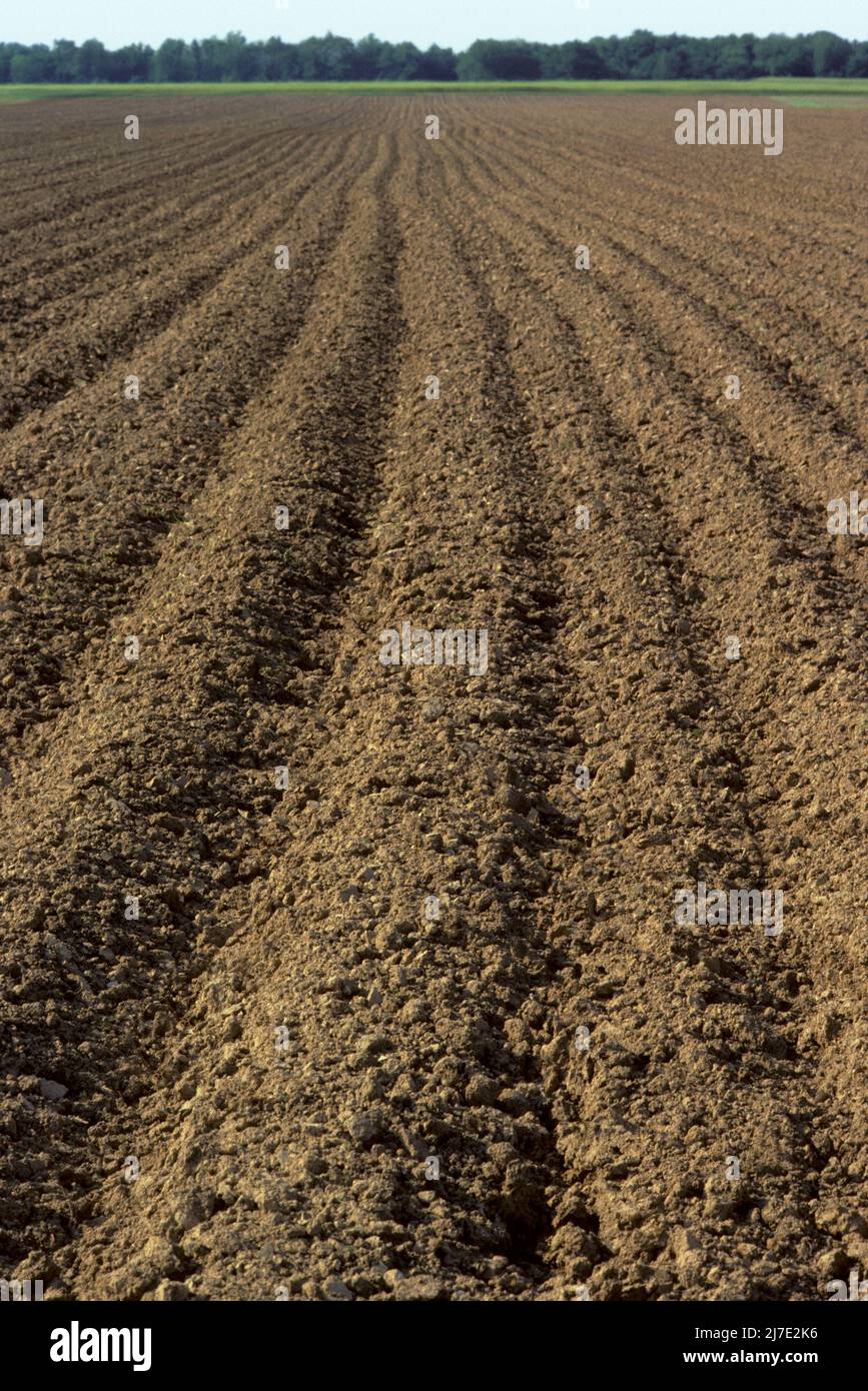A plowed field Stock Photo - Alamy