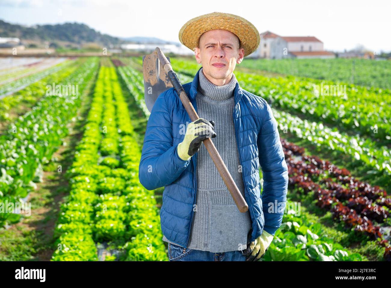 Confident farmer standing on vegetable field with hoe Stock Photo - Alamy