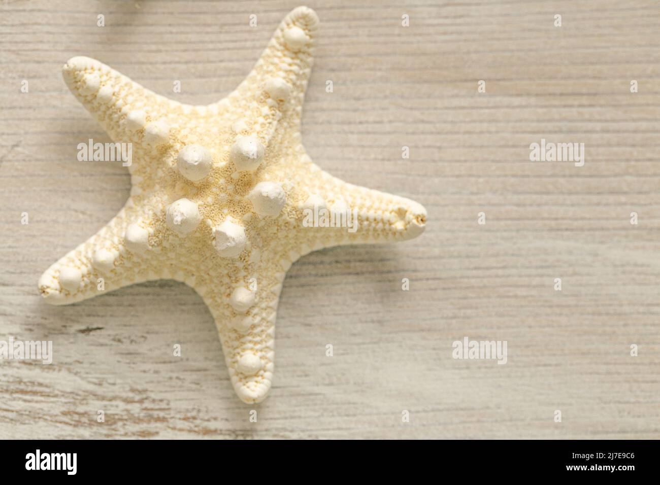 summer Wallpaper. beige starfish on white shabby chic background.Summer ...