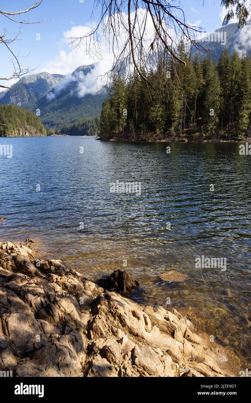 Canadian nature landscape green trees hi-res stock photography and ...