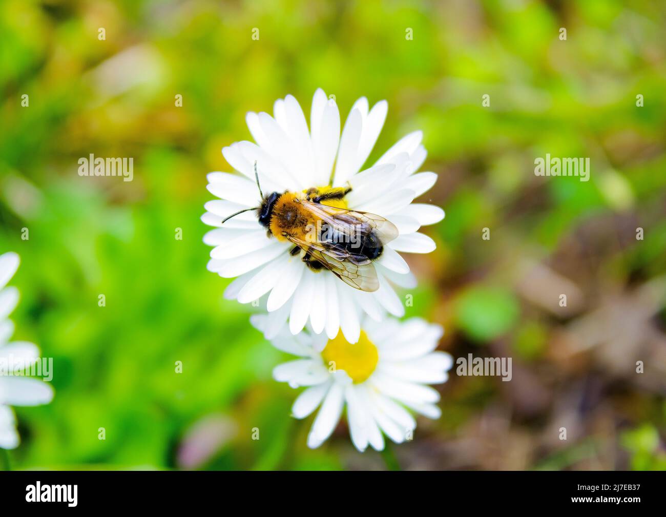 Clima chance hi-res stock photography and images - Alamy