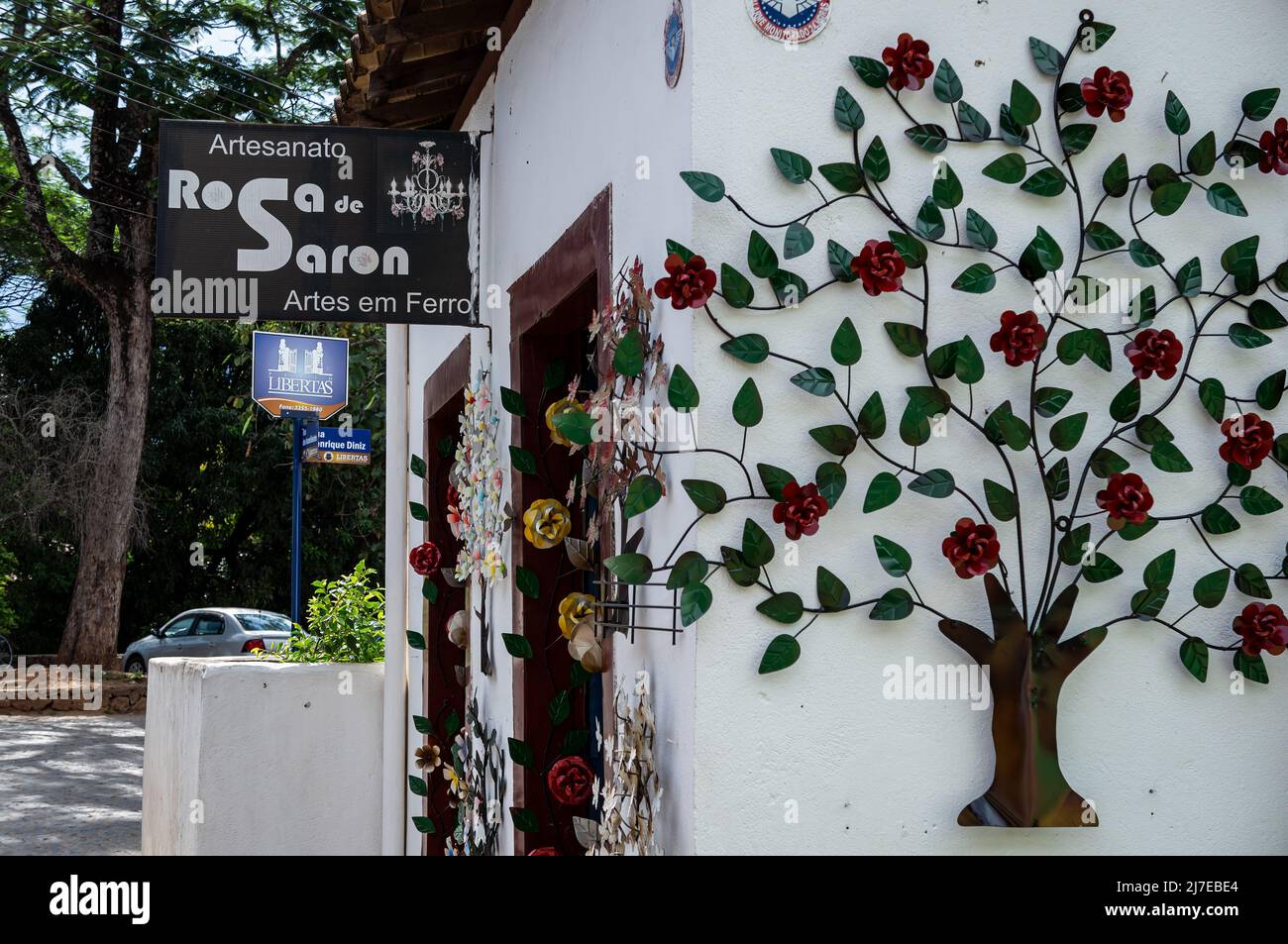Rosa de saron store hi-res stock photography and images - Alamy