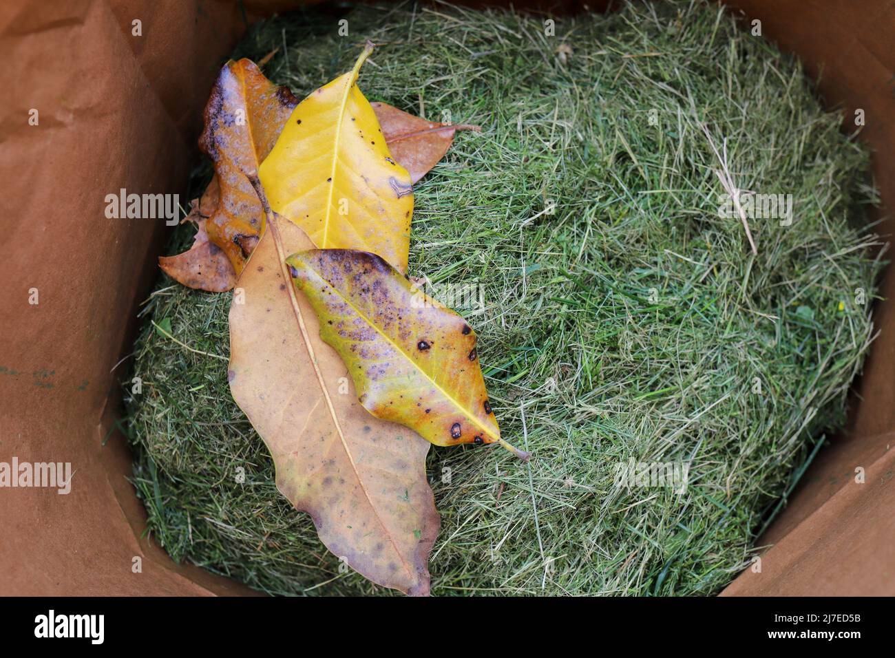 Bagged leaves hi-res stock photography and images - Alamy