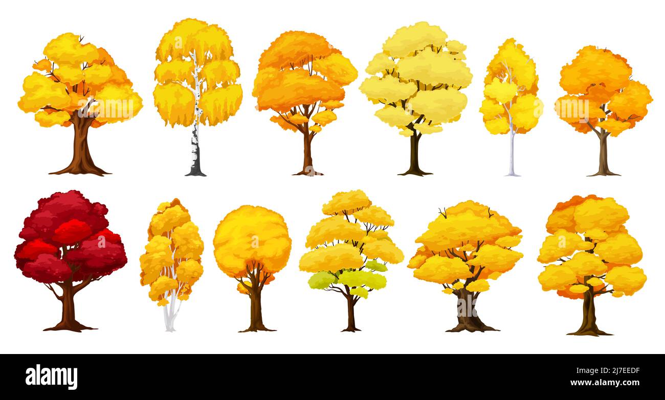 Cartoon Fall Tree