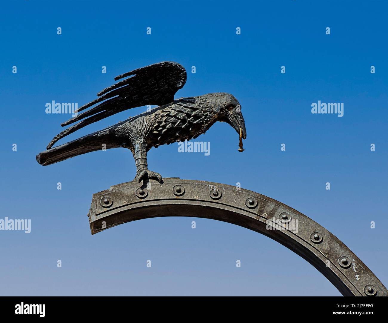 raven with a ring in its beak royal Stock Photo - Alamy