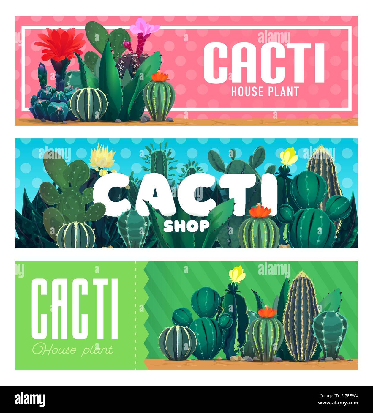 House cacti succulents, cartoon desert plants and flowers shop vector ...
