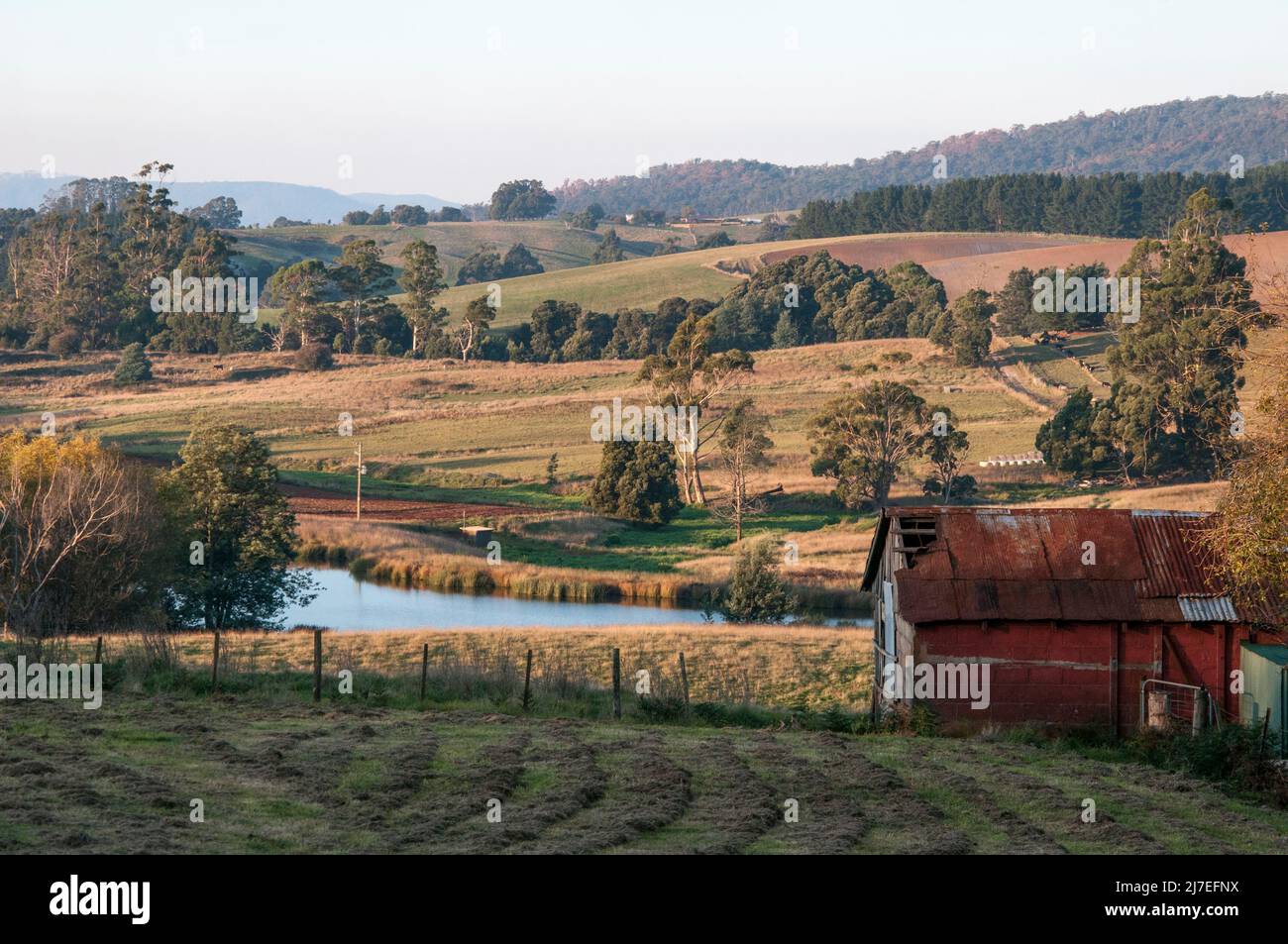 Evening view over countryside around Scottsdale, northeast Tasmania ...