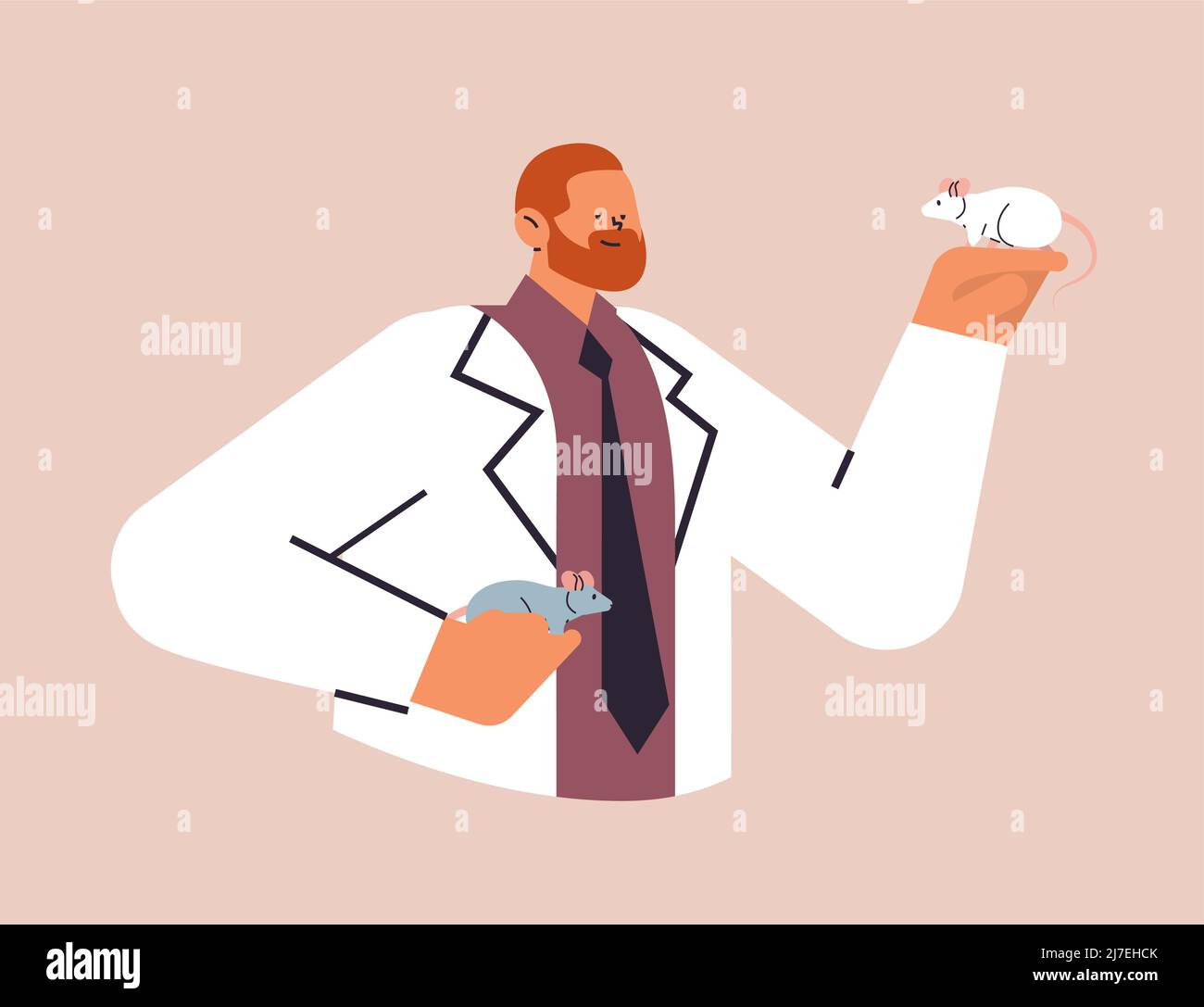 Researcher holding rat Stock Vector Images - Alamy
