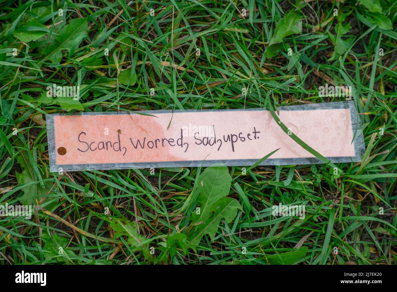 A overhead shot of a laminated note card (Scared, worried, sad, upset ...