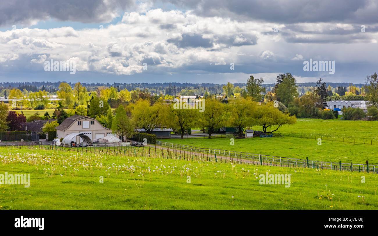 Typical North American Country Farm House with green field in overcast ...
