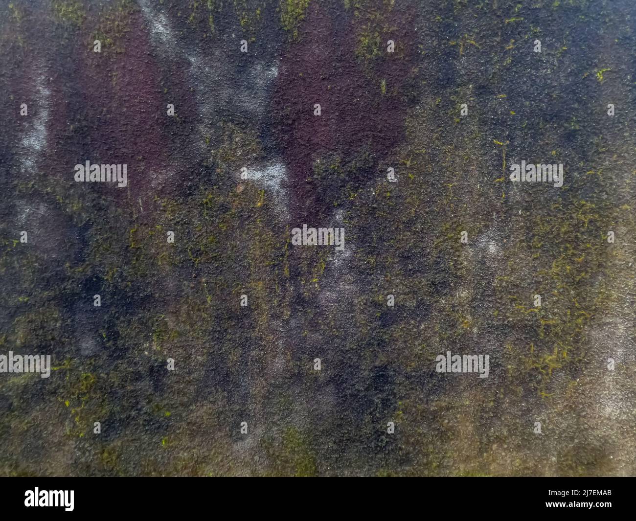 Walls in the garden with cement and natural stone overgrown with moss ...