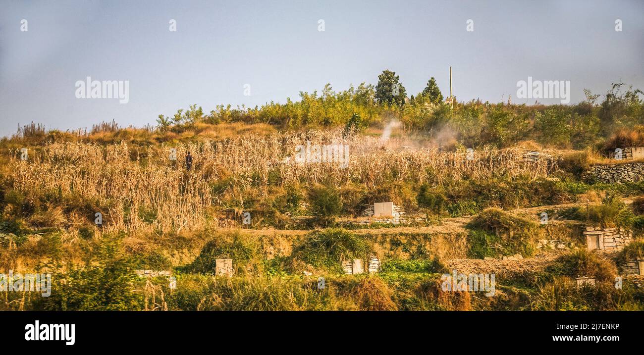 Burning fields in Guizhou China with graves of relatives . Peasants ...