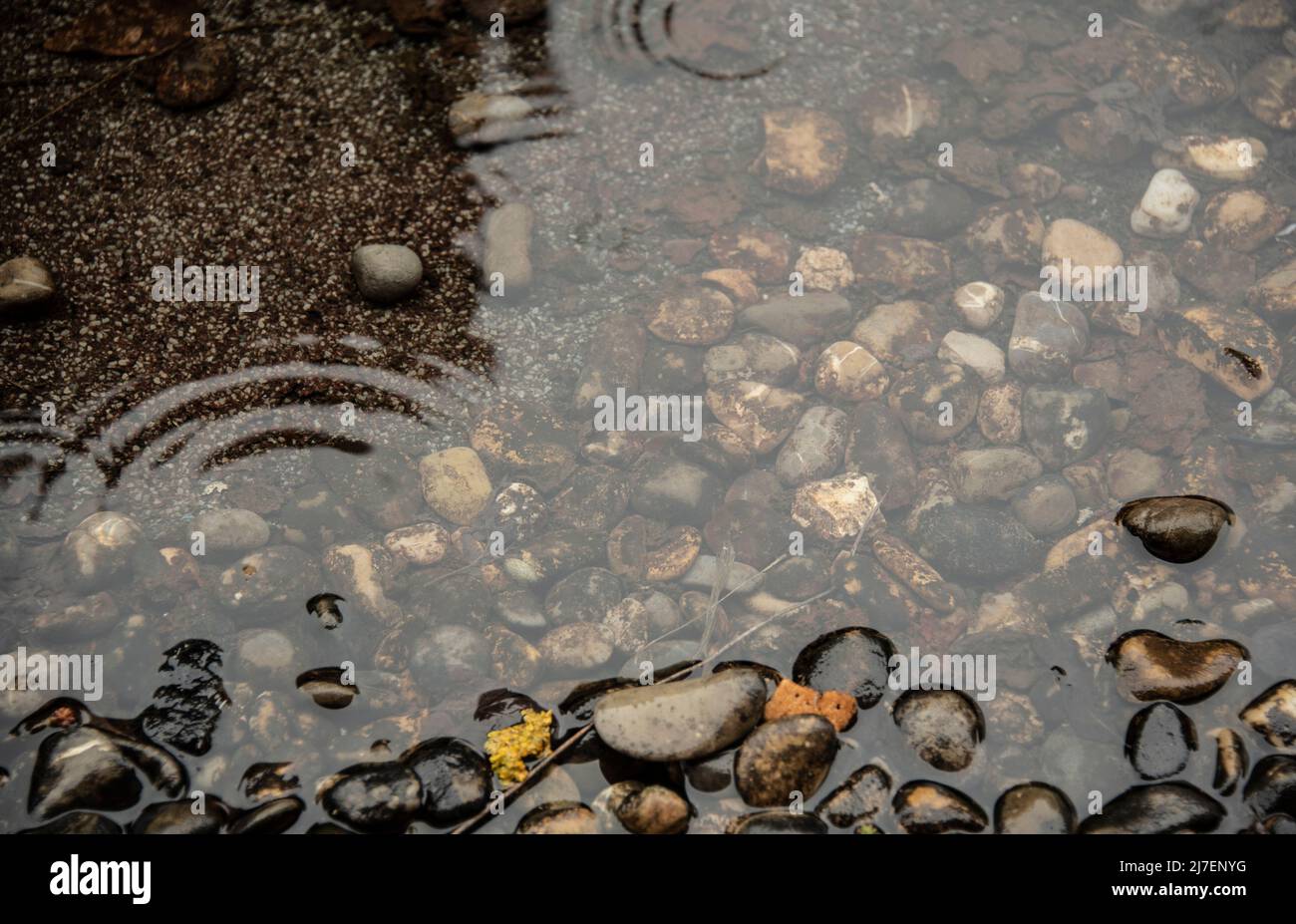 rain drops forming concentric rings on a puddle filled with pebble ...