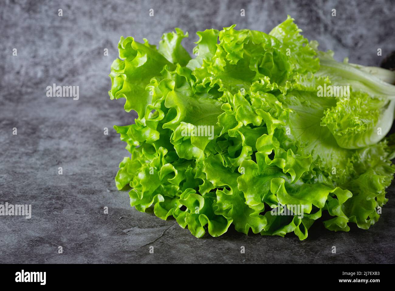 Single head of lettuce hi-res stock photography and images - Alamy