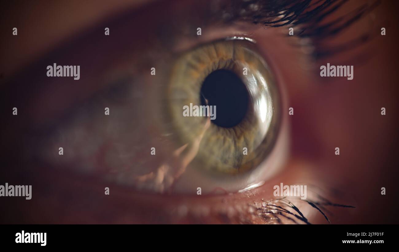 Female one gray green eye with beam of light closeup Stock Photo - Alamy