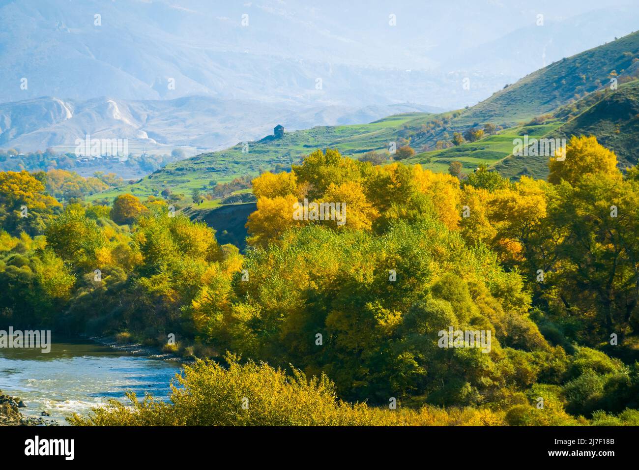 Yellow bushes on shore of mountain river Stock Photo - Alamy
