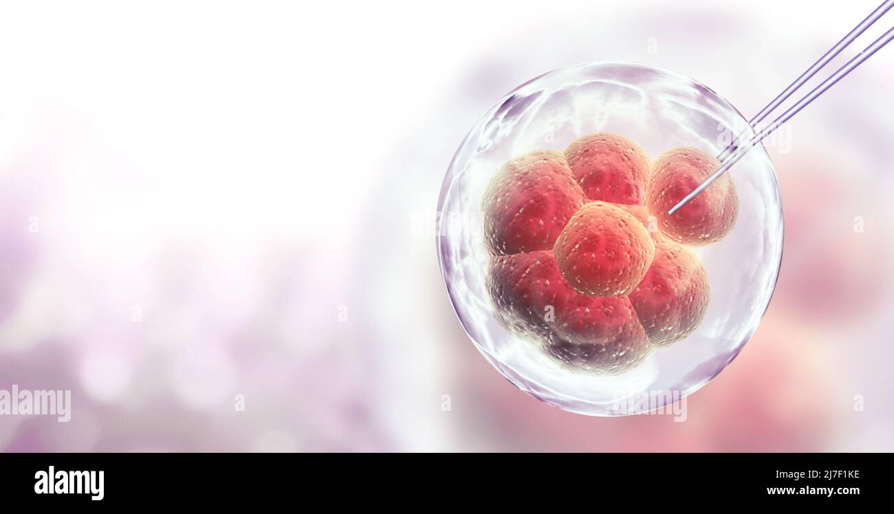 Genetic engineering, GMO and gene manipulation concept. Hi Tech ...