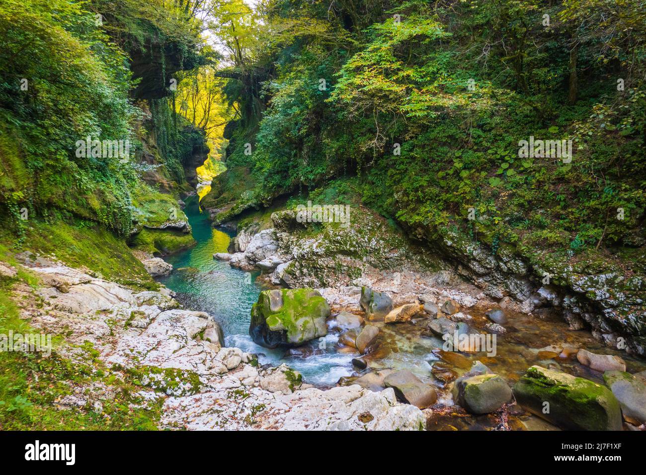 Clean brook flowing through lush terrain Stock Photo - Alamy