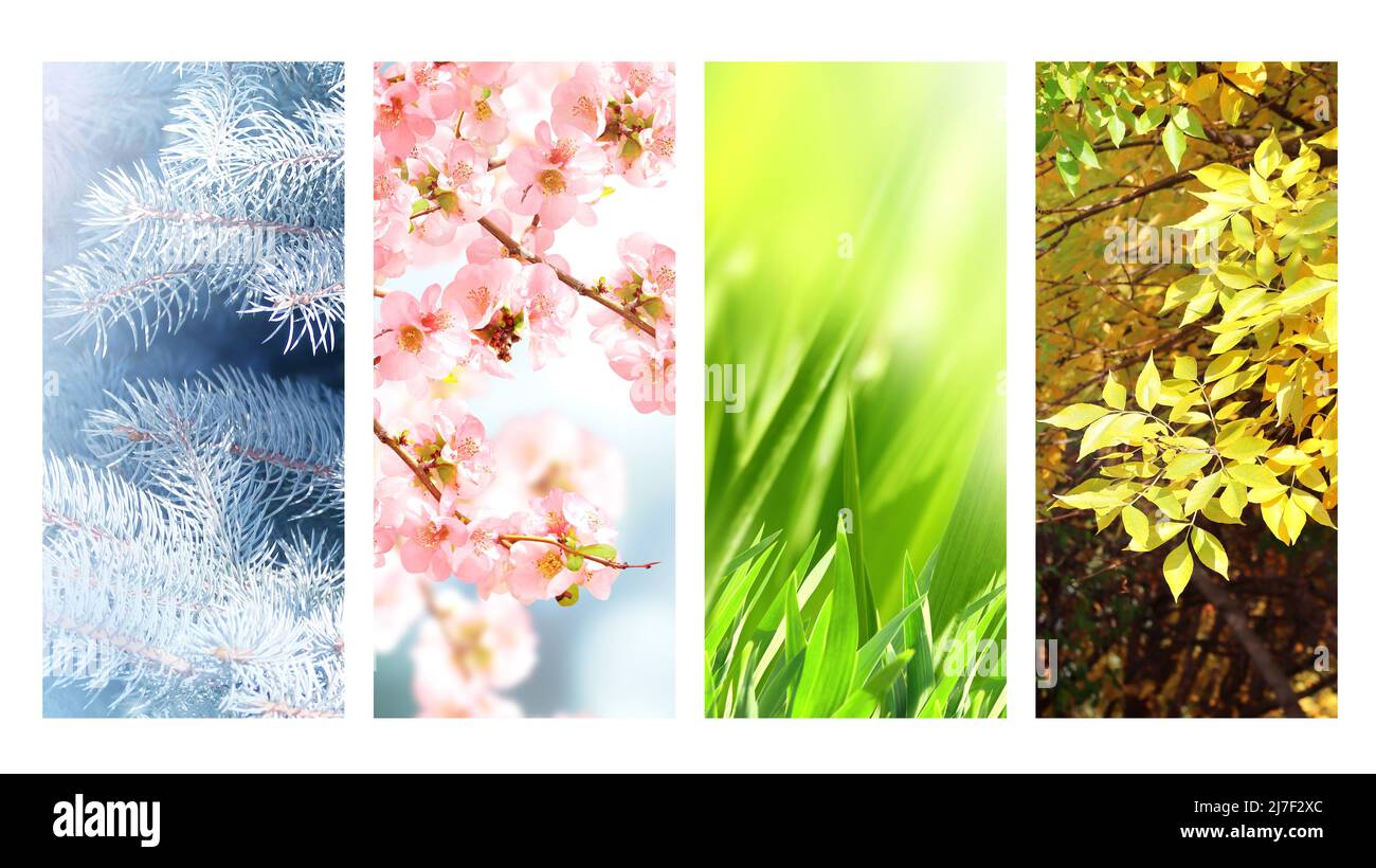 Four seasons of year. Set of vertical nature banners with winter ...