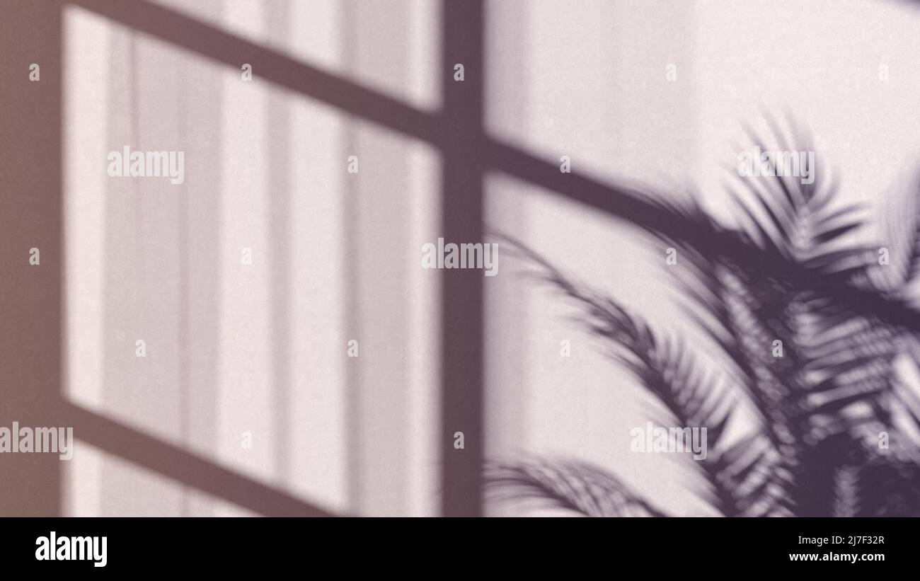 Abstract motion background animated High Resolution Stock Photography ...