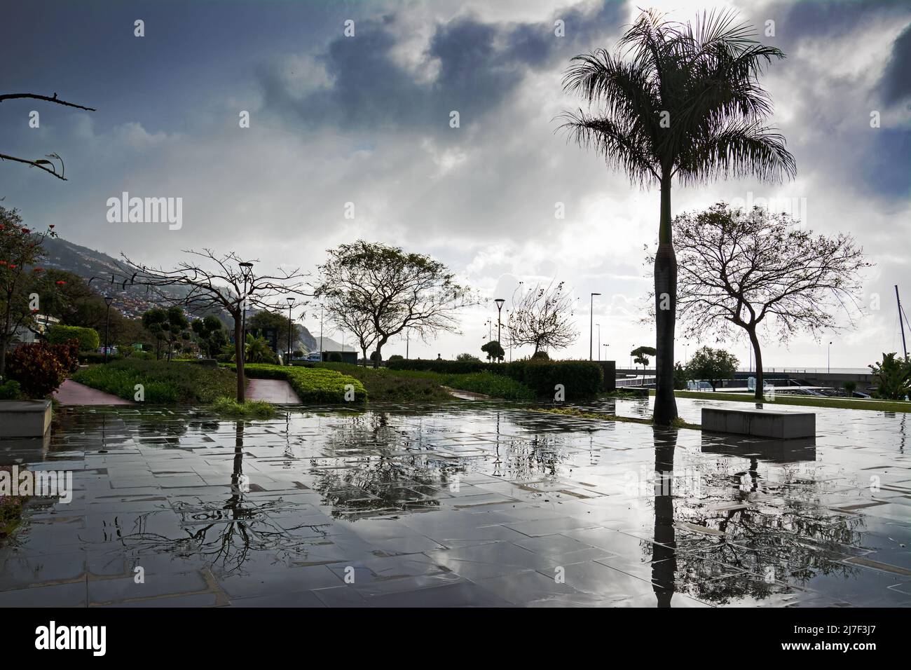 Beautiful promenade of the city of Funchal, Madeira island. Embankment ...
