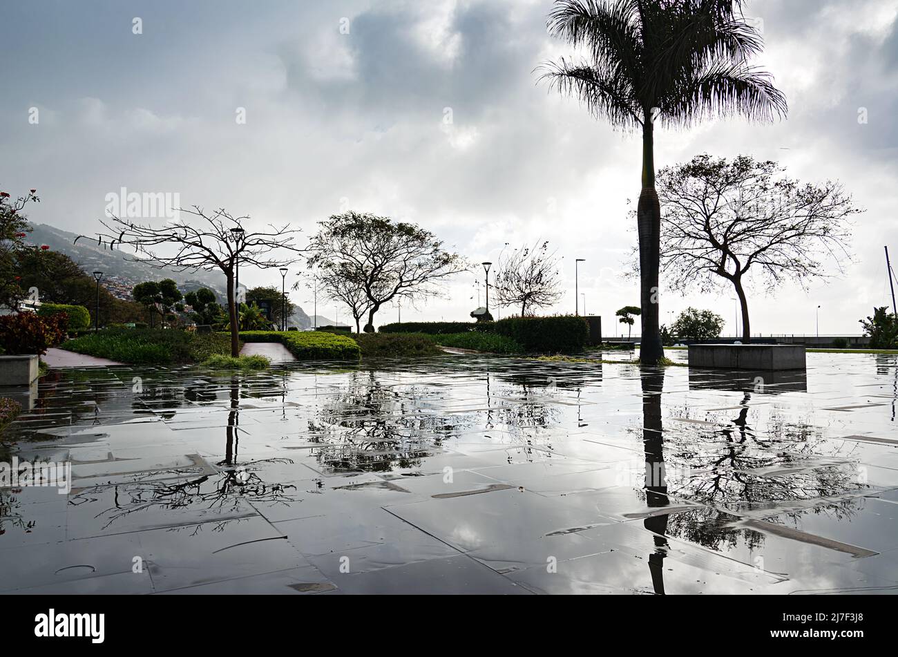 Beautiful promenade of the city of Funchal, Madeira island. Embankment ...