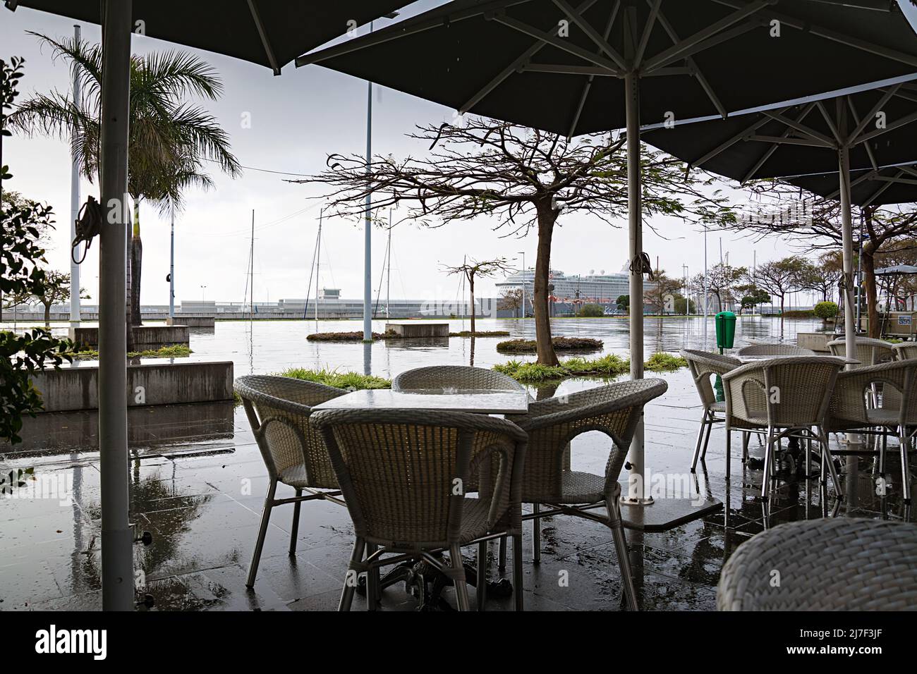 Urban landscape, embankment. Funchal city street with after rain ...