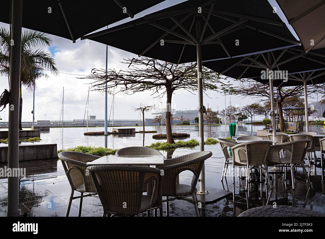 Urban landscape, embankment. Funchal city street with after rain ...