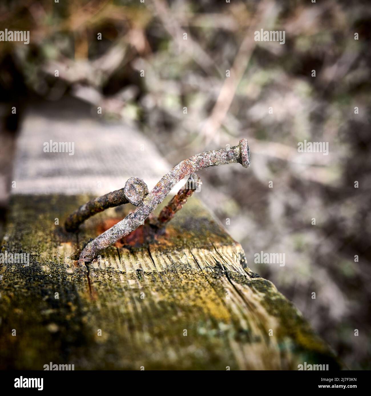 Bent rusty nails in wood Stock Photo - Alamy