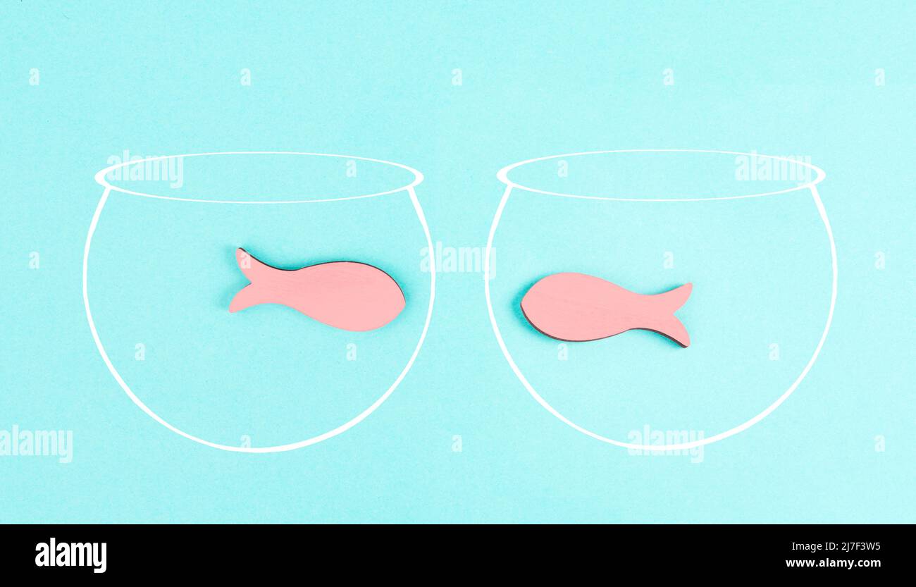 Two little fish in separated aquariums looking at each other, freedom ...