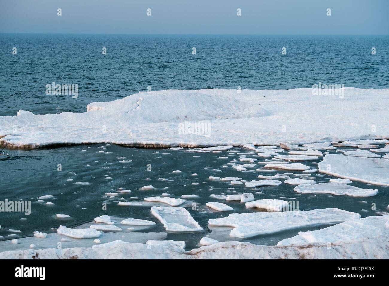 Ice floes in cold sea water Stock Photo - Alamy