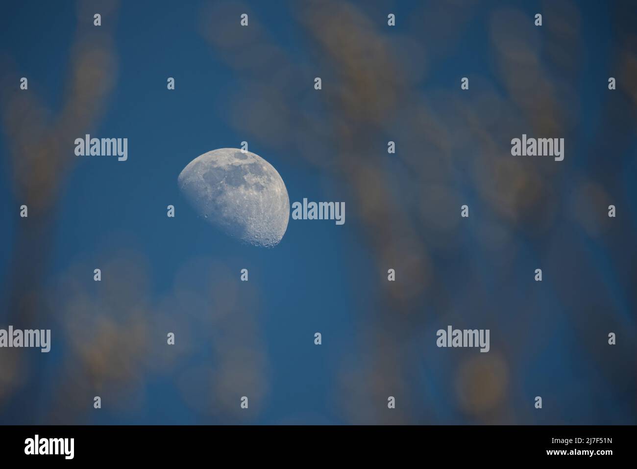 Moon in the sky Stock Photo - Alamy