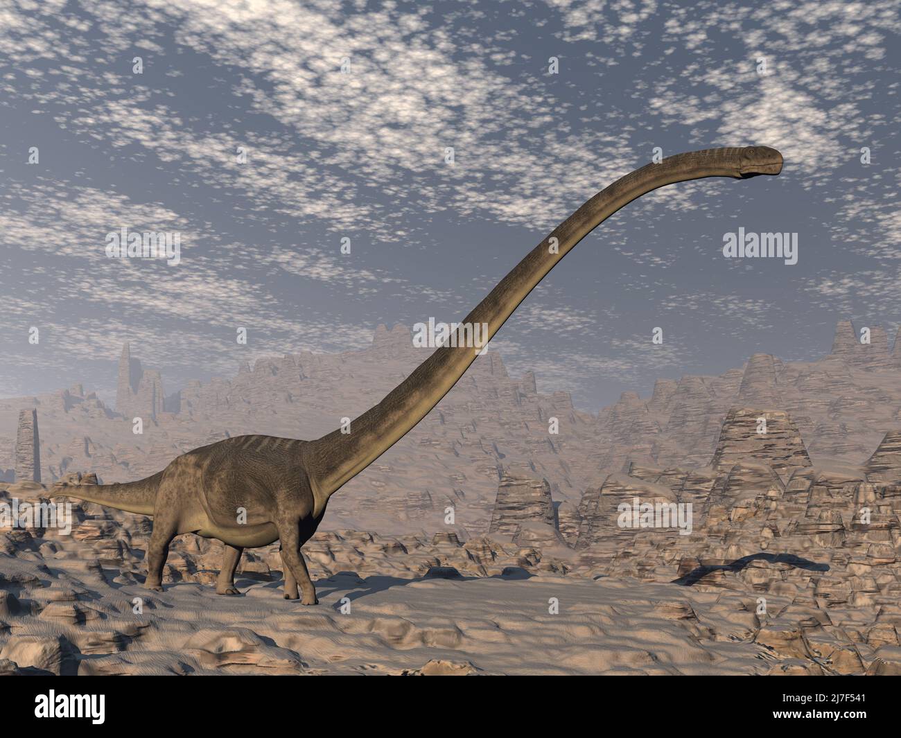 Omeisaurus dinosaur in the desert - 3D render Stock Photo - Alamy