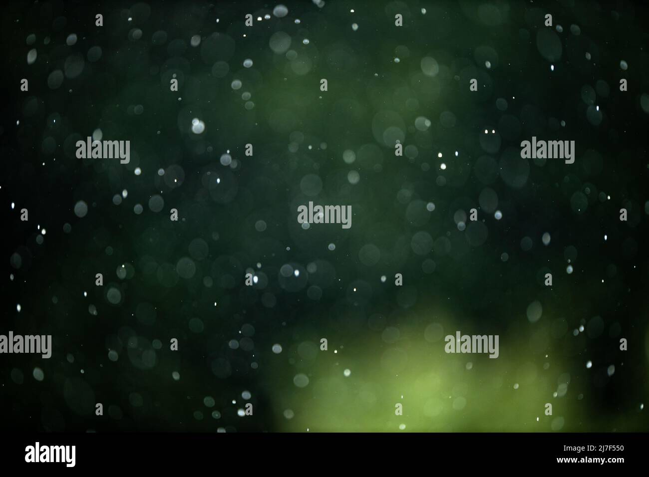 Rain falling from the sky, bringint the very needed humidity to the ...