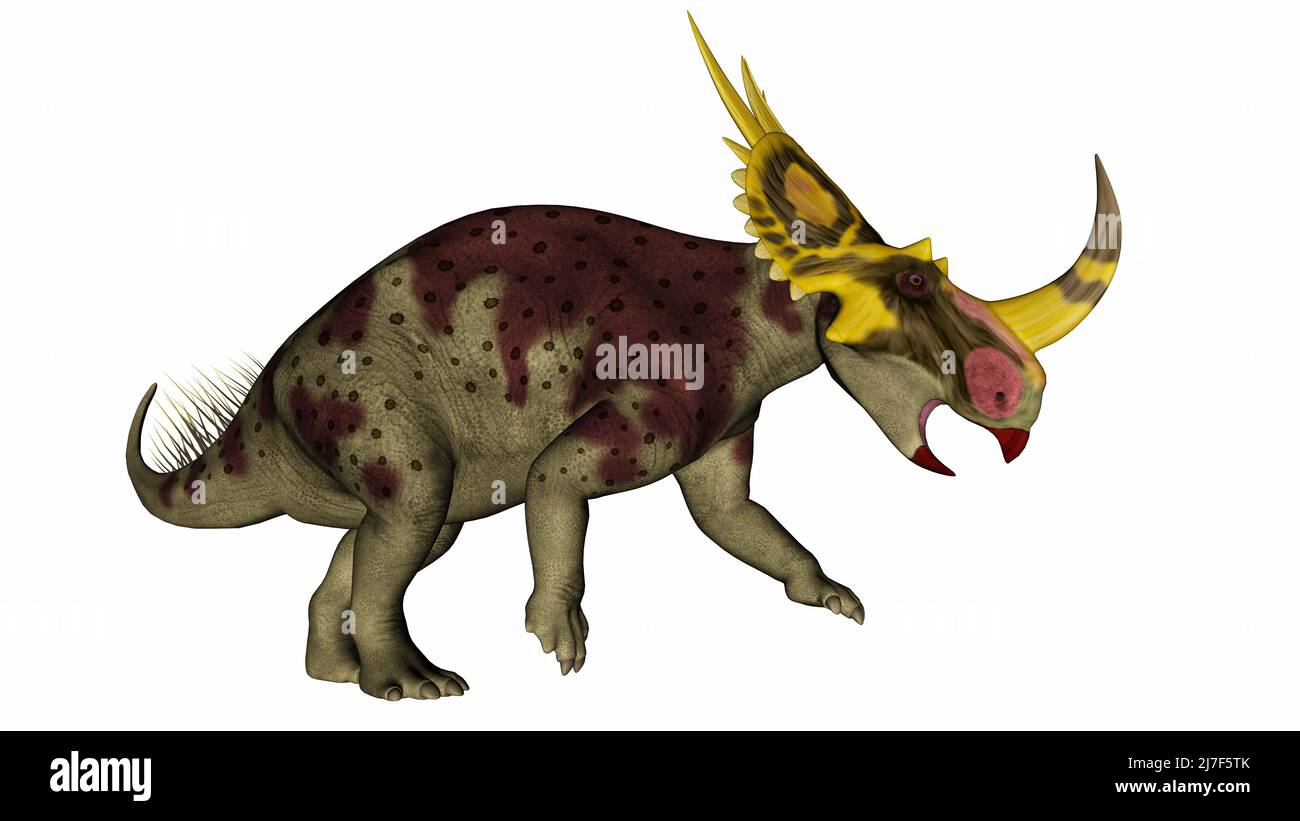 Rubeosaurus High Resolution Stock Photography and Images - Alamy