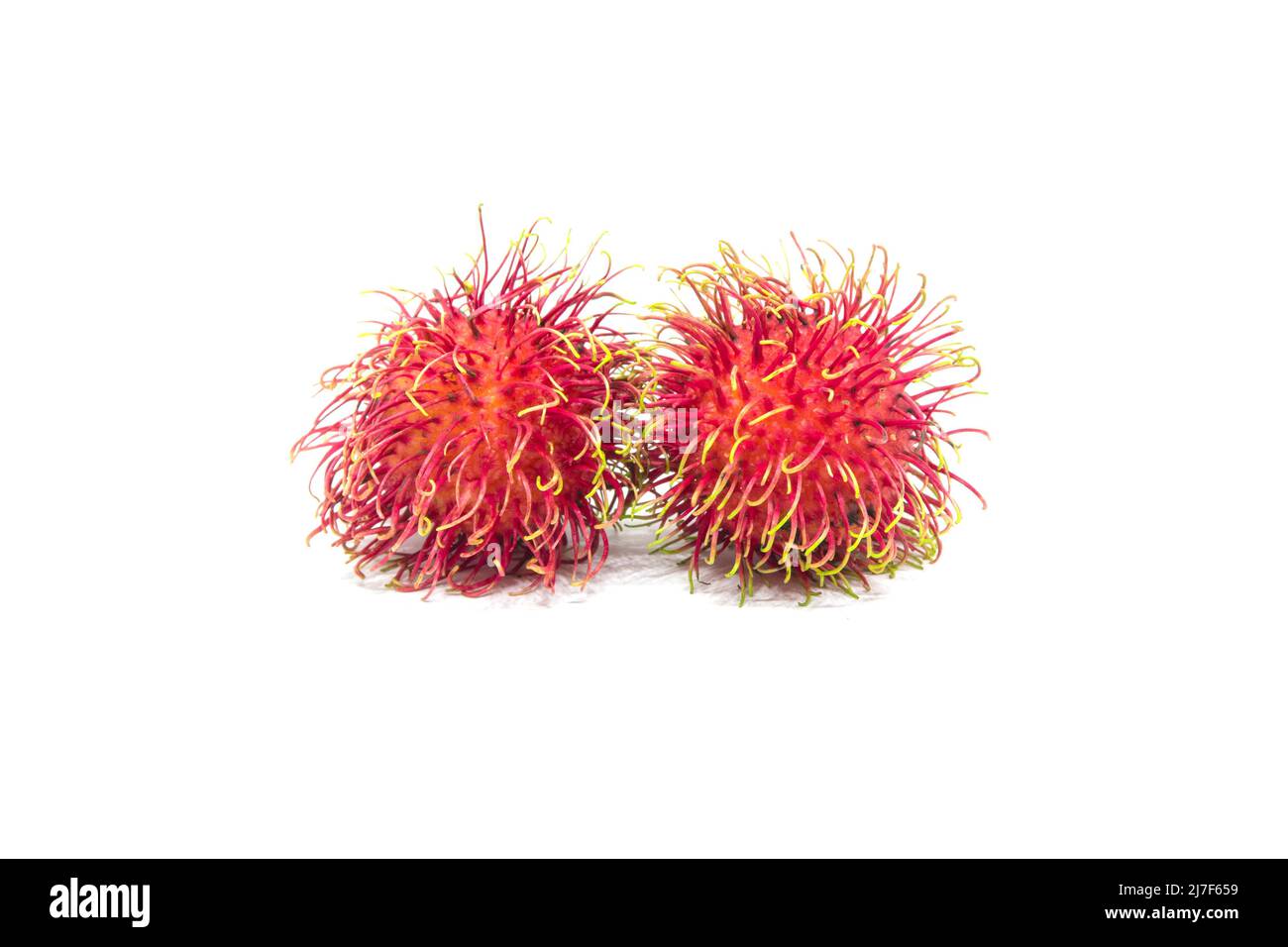 Two rambutan fruit isolated on white background Stock Photo - Alamy
