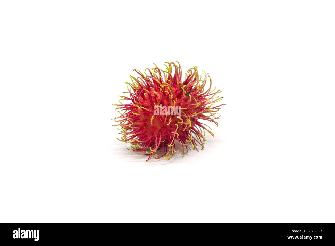 Rambutan fruit isolated on white background Stock Photo - Alamy