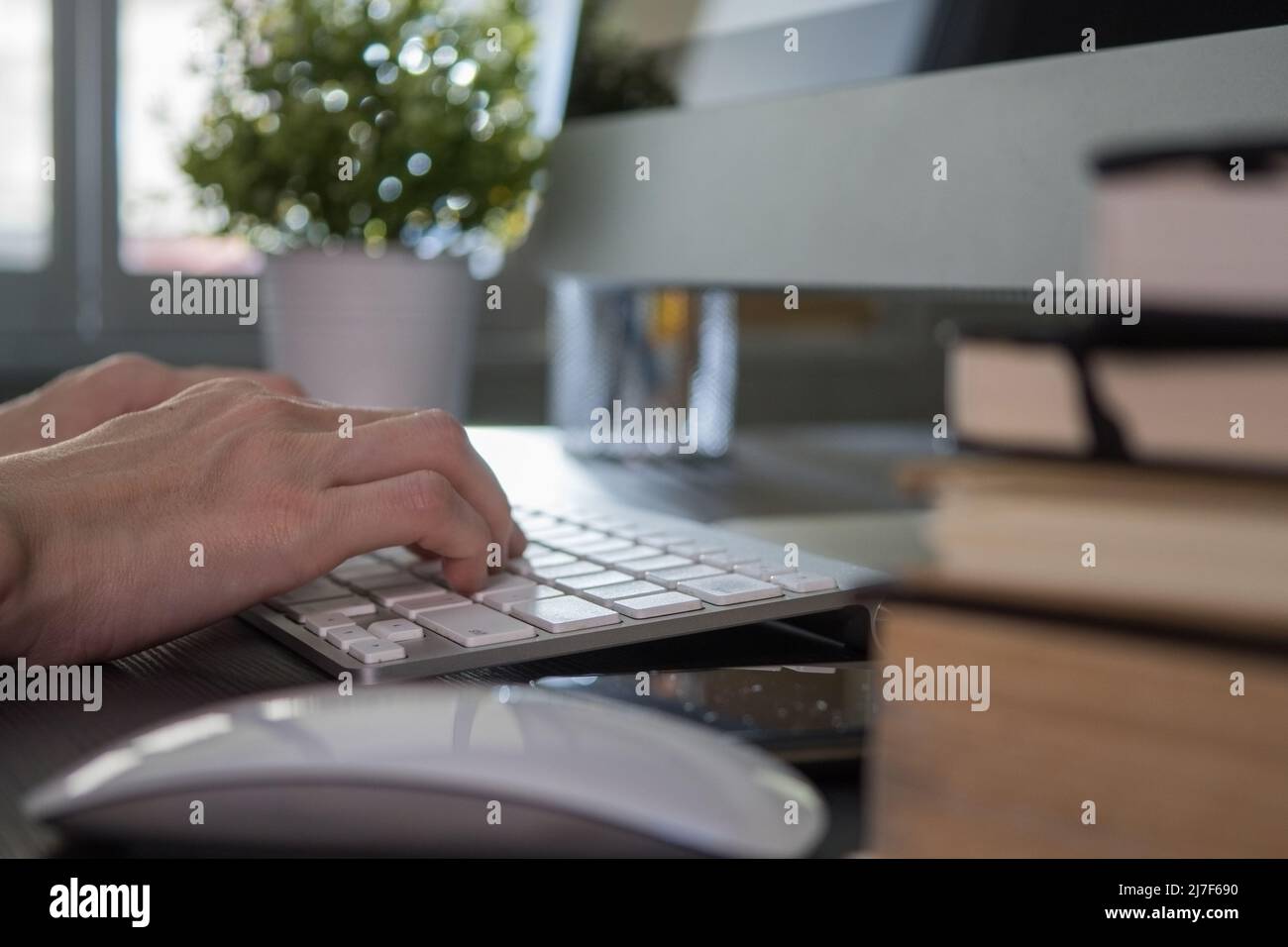 Female worker using computer in the office Stock Photo - Alamy