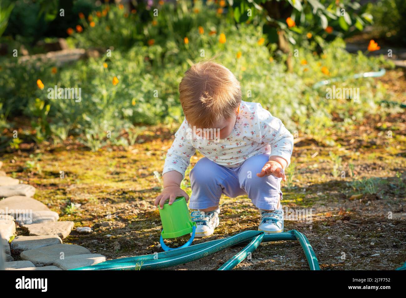 A small toddler is playing with a plastic toy bucket in the backyard ...