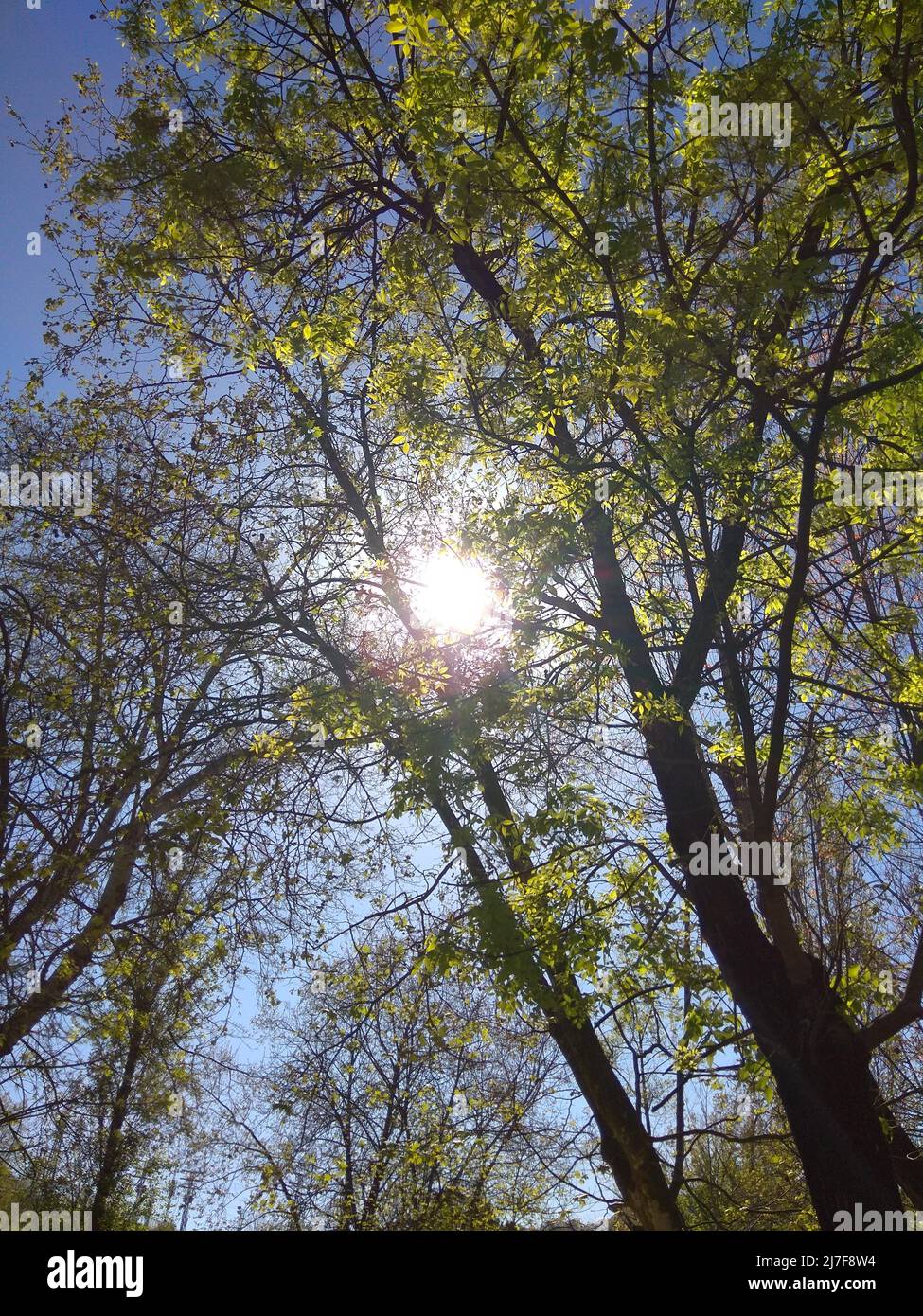 Soloarte Park, Basauri. With its trees and benches to rest. Spain Stock ...