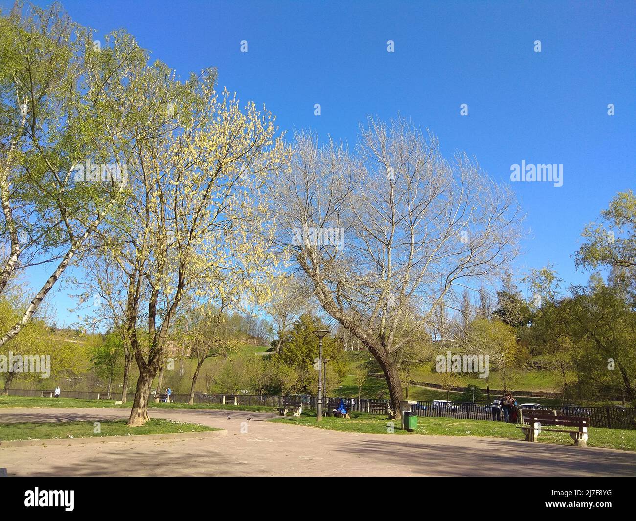 Soloarte Park, Basauri. With its trees and benches to rest. Spain Stock ...