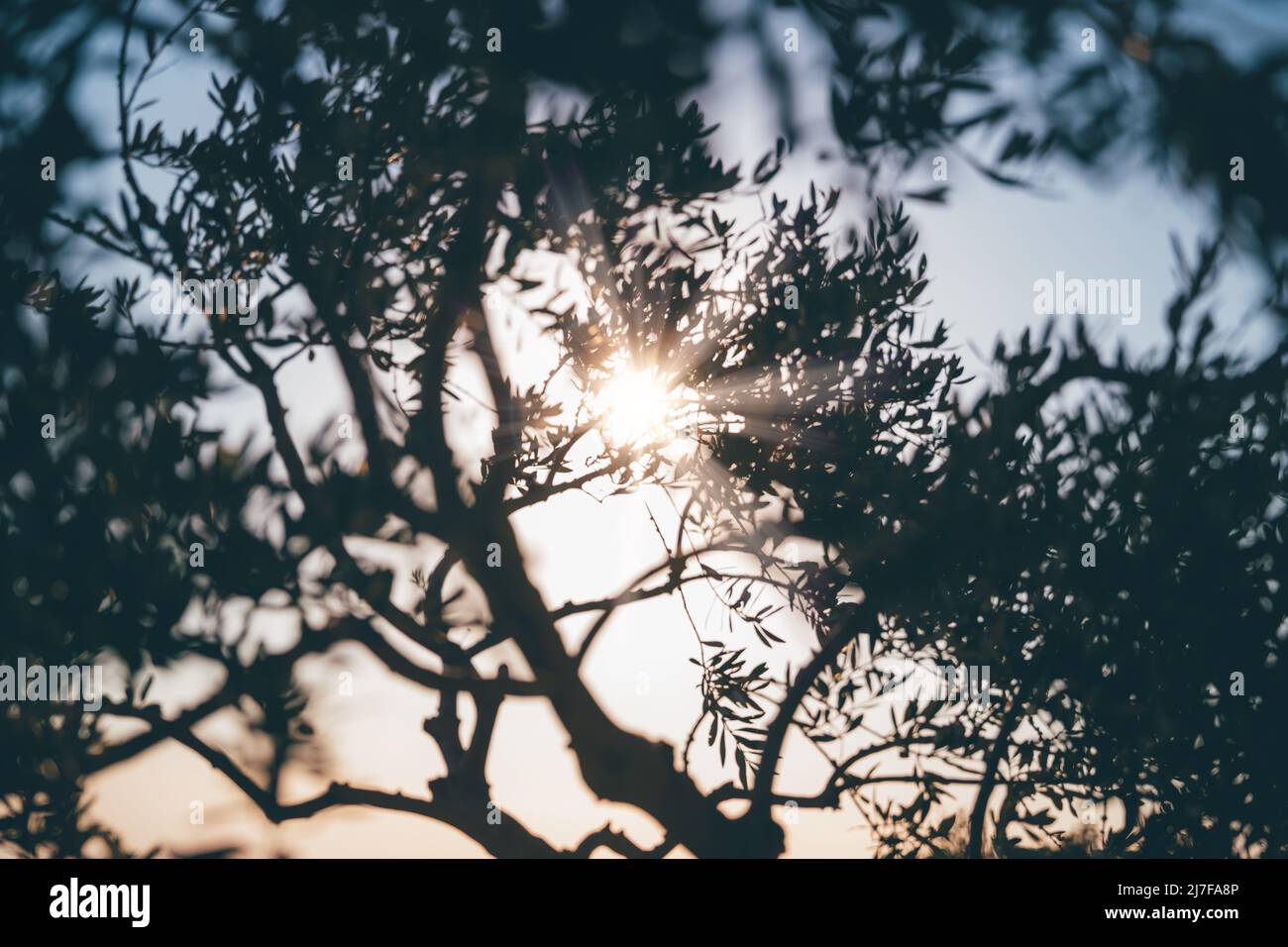 Beautiful Nature Background Stock Photo - Alamy
