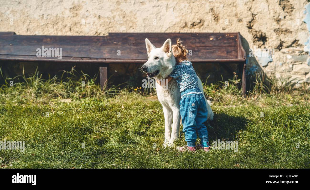 little girl and white wolfhound in the meadow Stock Photo - Alamy