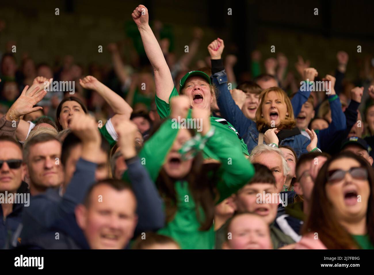 Fan at a limerick Hurling match v Tipperary in the Munster Cup Semi ...