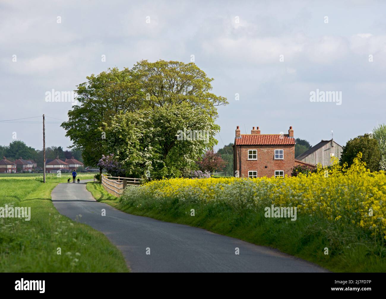 House and farmland near Reedness, East Yorkshire, England UK Stock ...