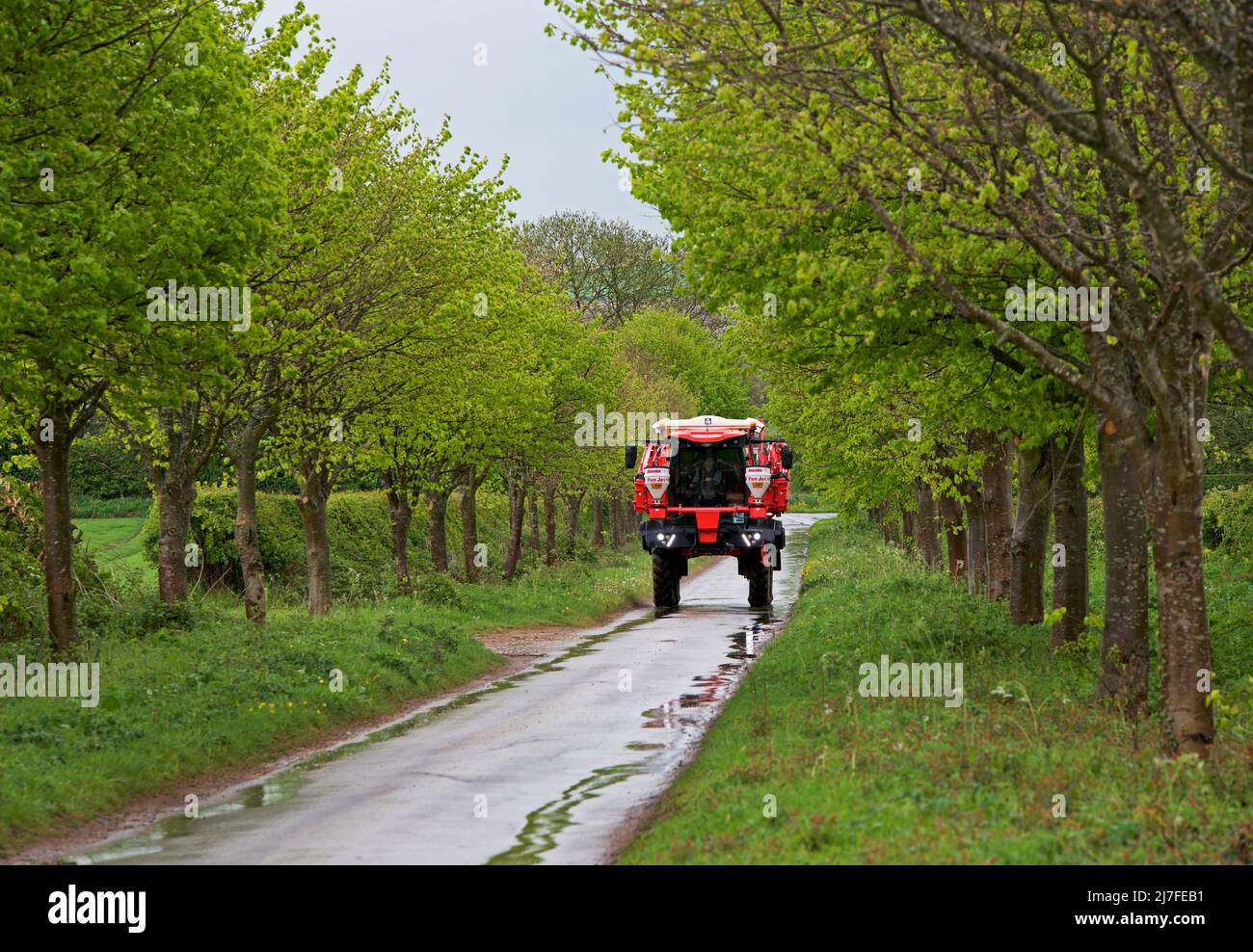 Tree-lined road near Hotham, East Yorkshire, England UK Stock Photo - Alamy