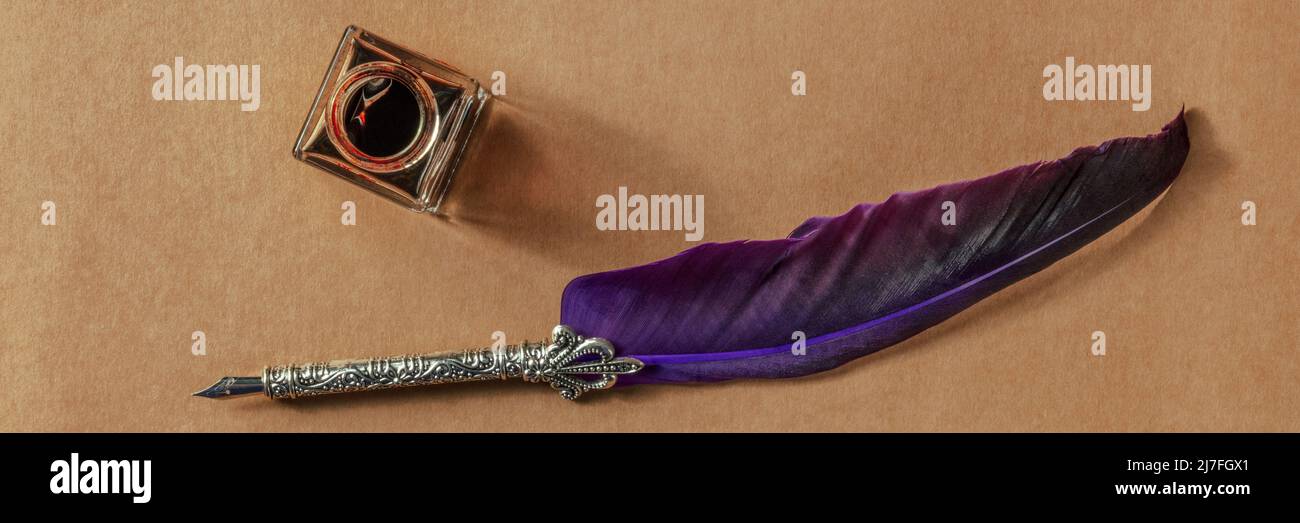 Top view feather quill hi-res stock photography and images - Alamy