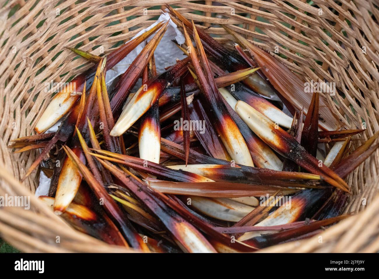 Chupones hi-res stock photography and images - Alamy