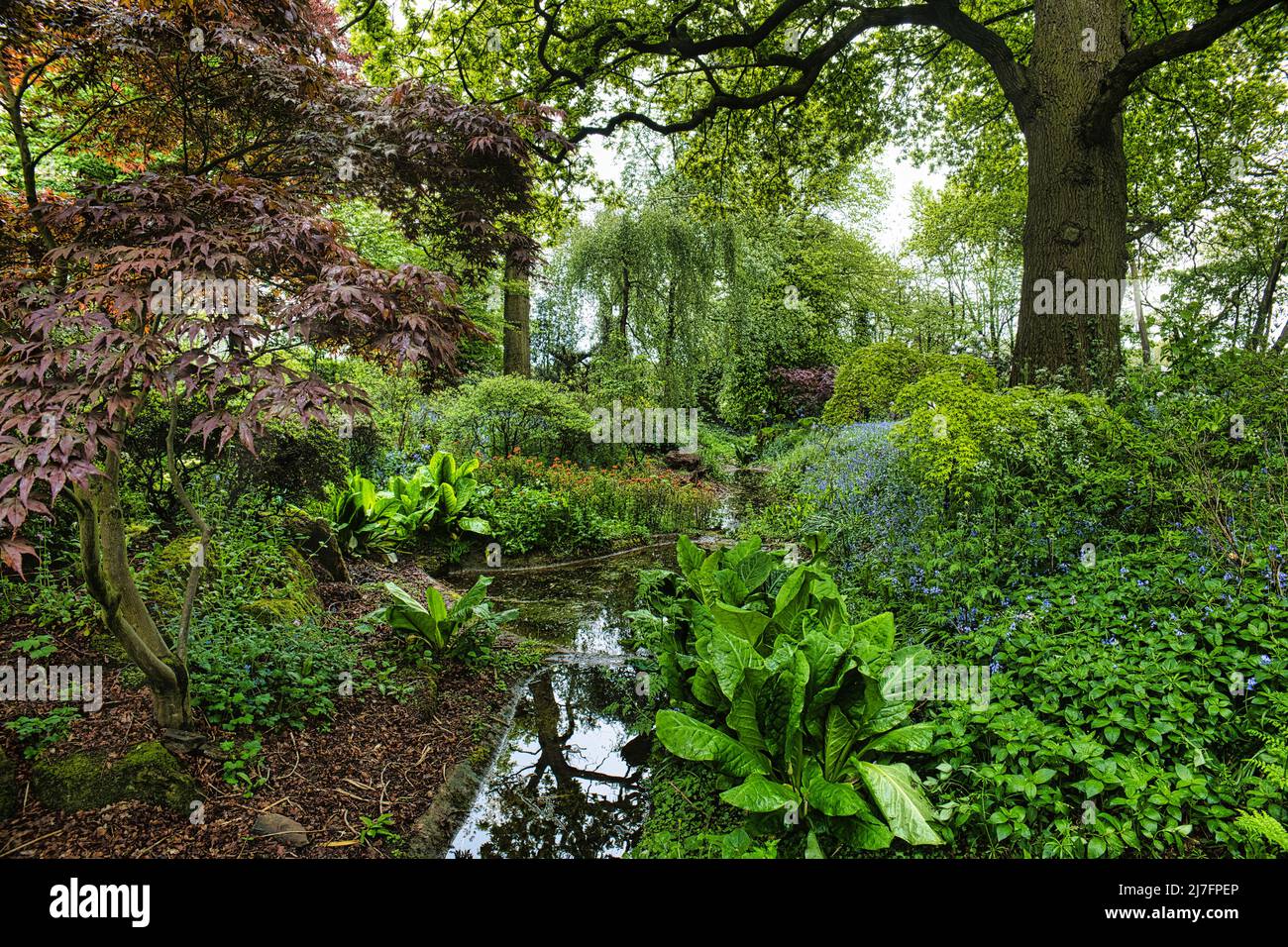 The Dell, Dorfold Hall Stock Photo - Alamy